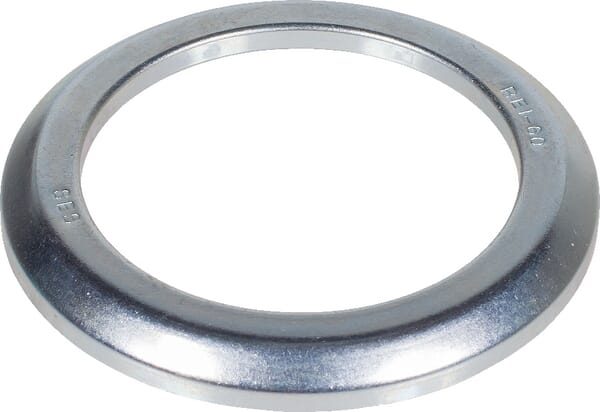 Riebokšlis (salnikas) Alphaseal RCL 60x82x5,5 AS608255RCLP001