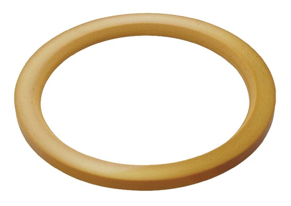 Riebokšlis (salnikas) slydimo guoliams CD60GE