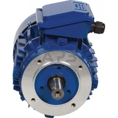 Trifazis elektros variklis su flanšu B14 0.75 kW 6 poliai (1000 aps ...