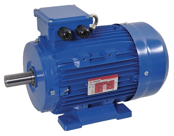 Trifazis elektros variklis ant pado 3 kW B3 4 poliai (1500 aps./min ...