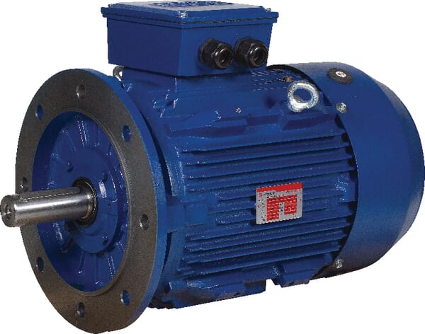 Trifazis elektros variklis su flanšu B5 5.5 kW 2 poliai (3000 aps./min ...