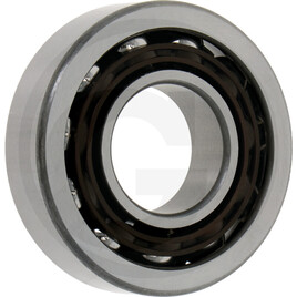 Universalus vienaeilis rutulinis guolis 7309 B